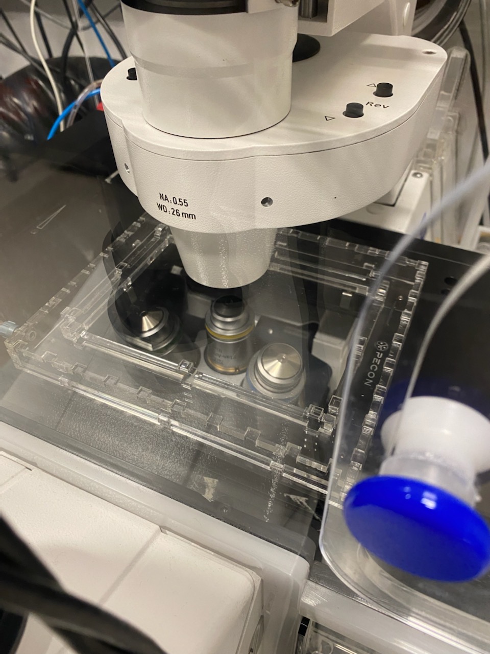 CO2-cover with laser cutter | CENTURI wiki